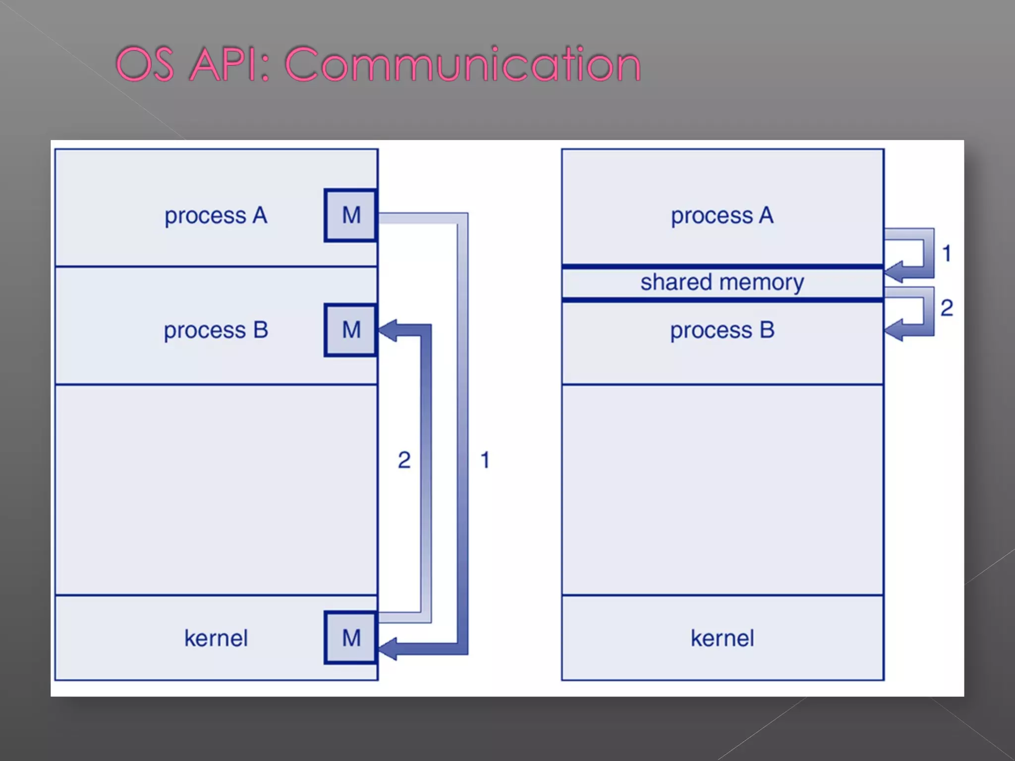 Os structure | PPT