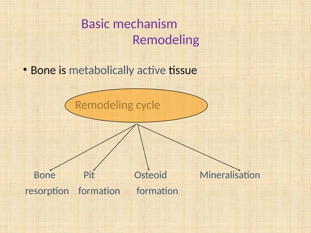 prsentation [presenting prsenters of.pptx