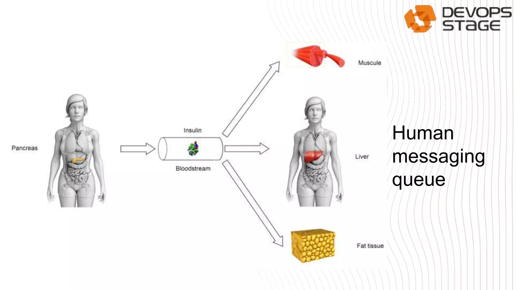 AWS architecture and a human body | PPTX