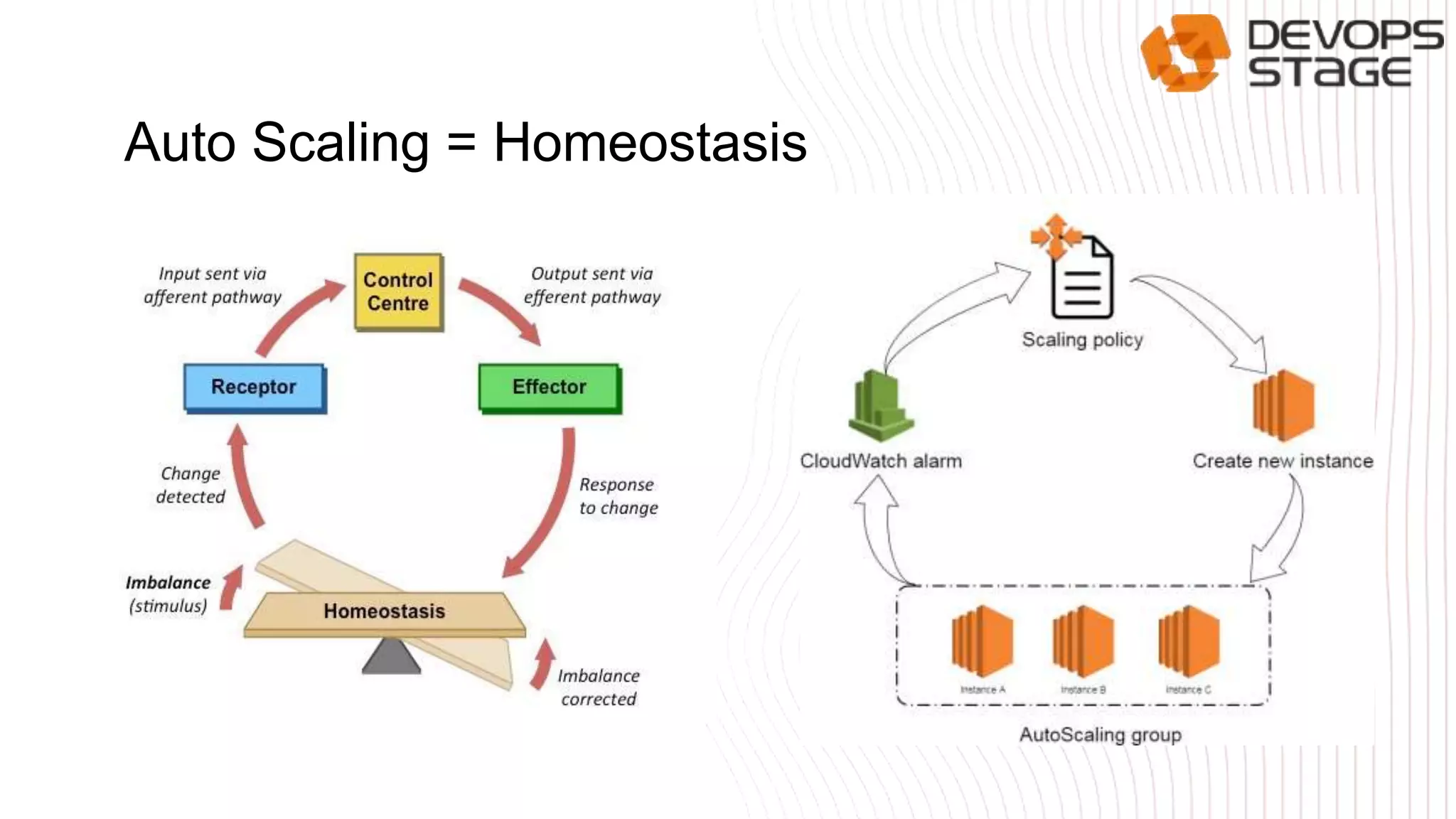 AWS architecture and a human body | PPTX