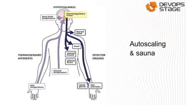 AWS architecture and a human body | PPTX