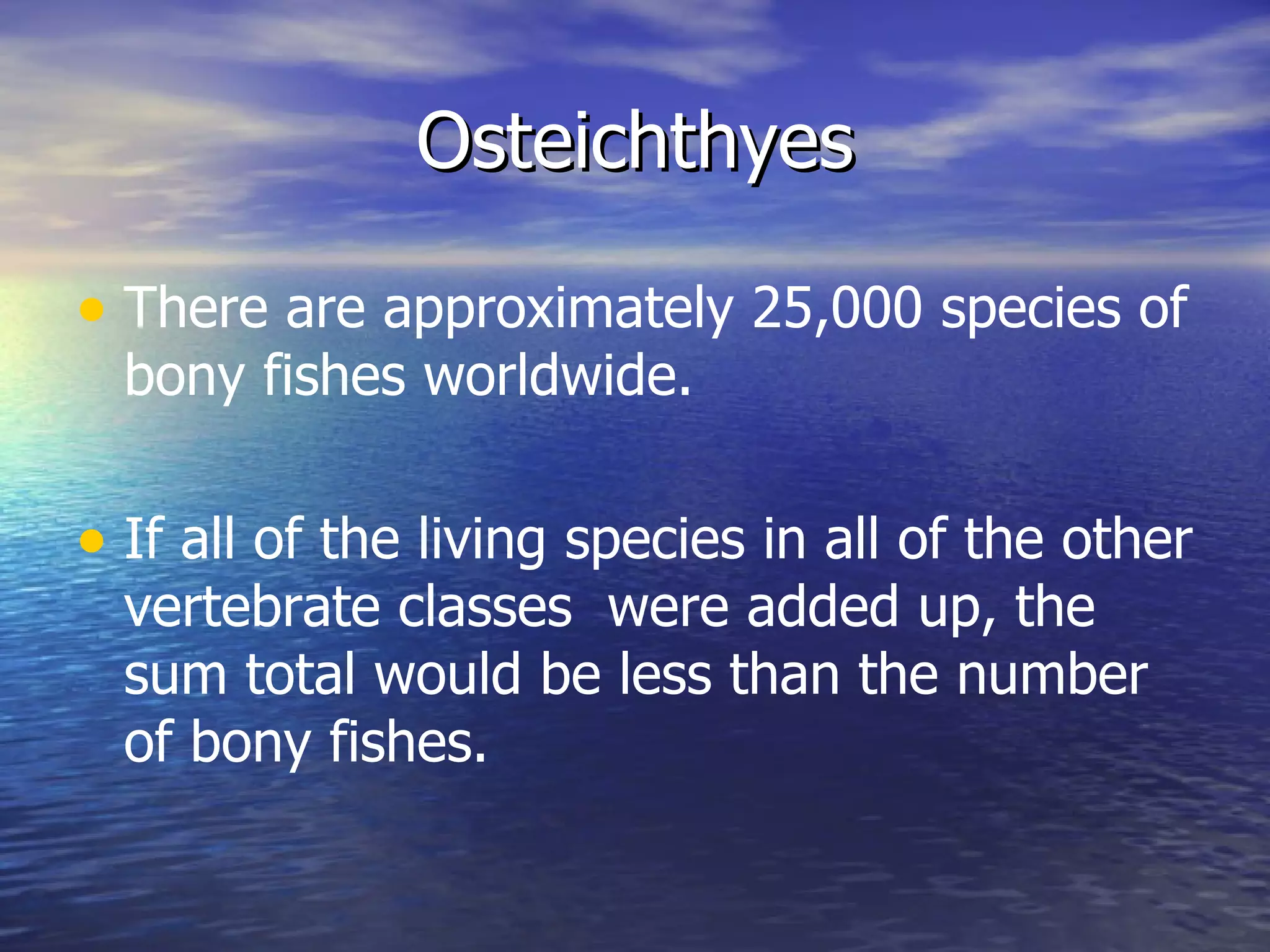 Osteichthyes Notes | PPT