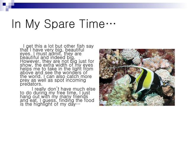 Osteichthyes | PPT | Fish and Aquariums | Pets