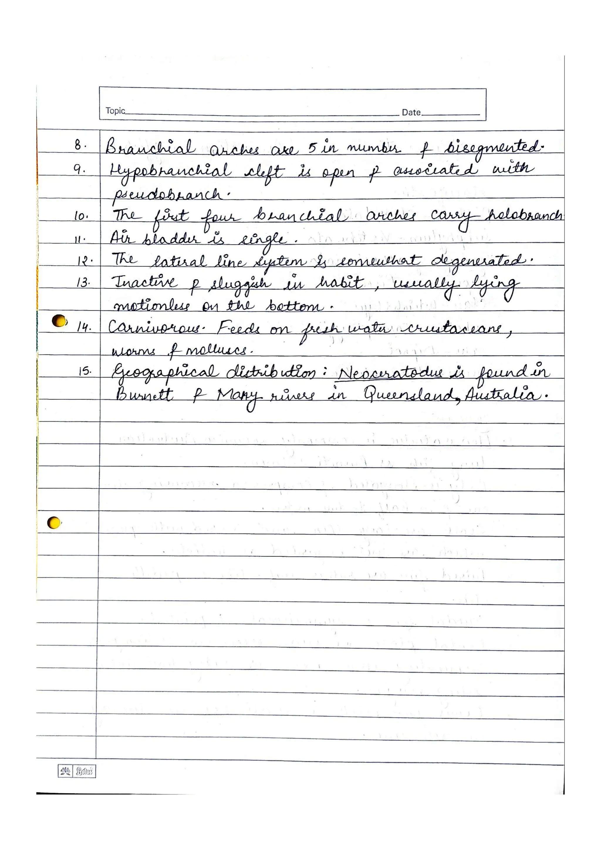 Osteichthyes ( Bony Fishes ) Fish and Fisheries.pdf