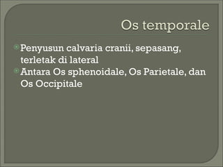 presentasi Anatomi tulang os temporale.ppt
