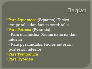 presentasi Anatomi tulang os temporale.ppt