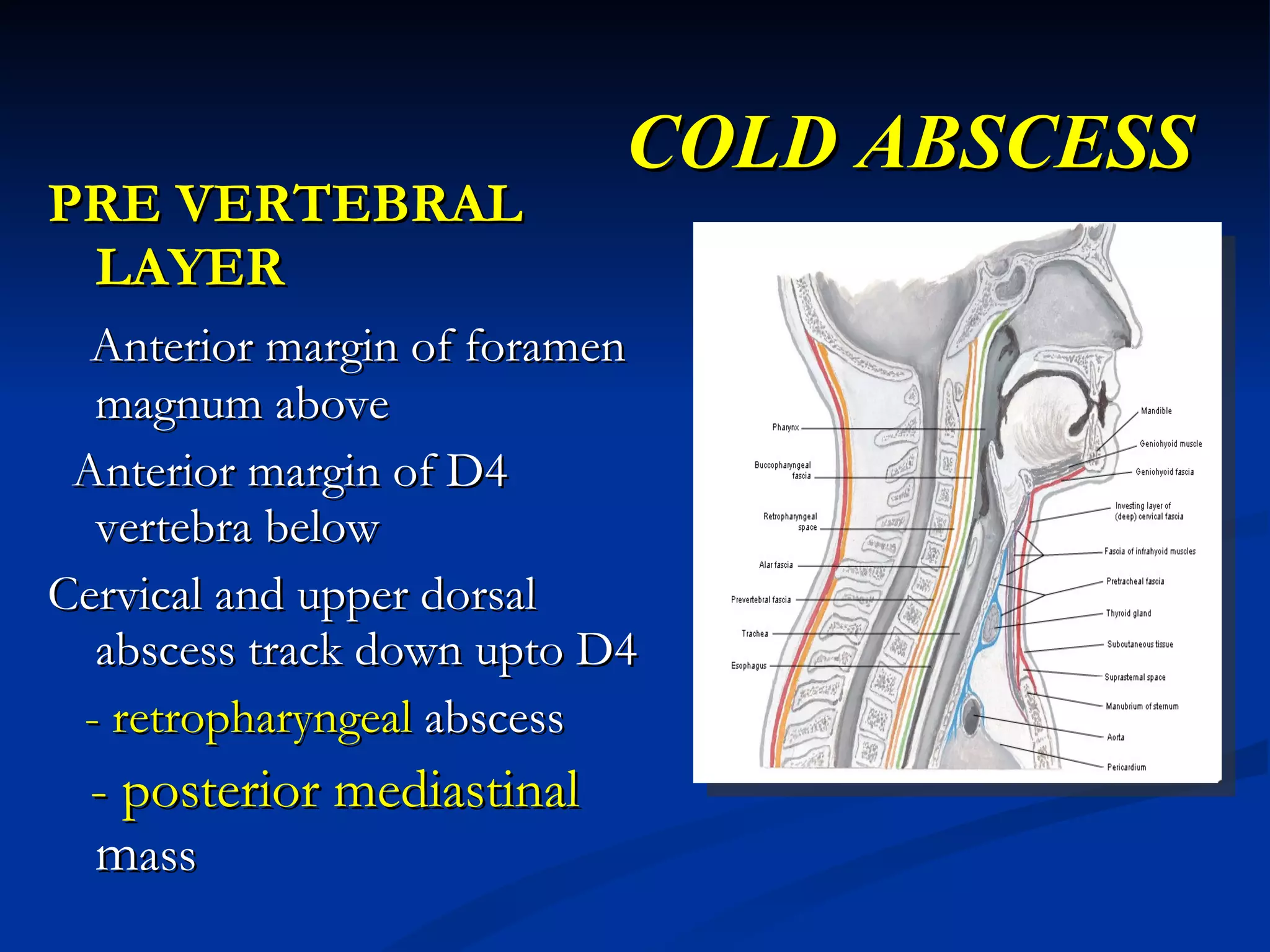 Osteo articular tuberculosis -1 | PPT
