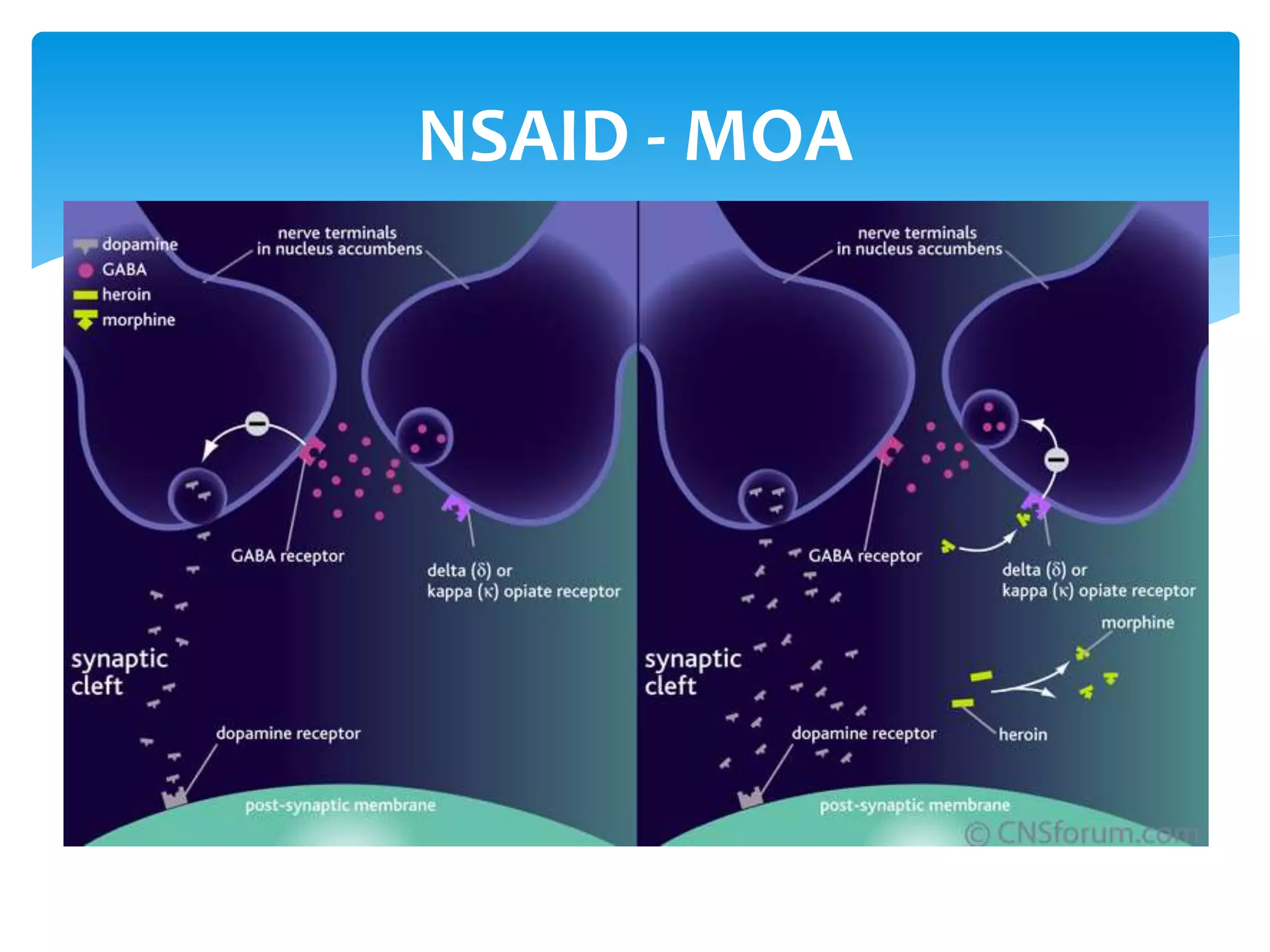 Osteoarthritis | PPTX