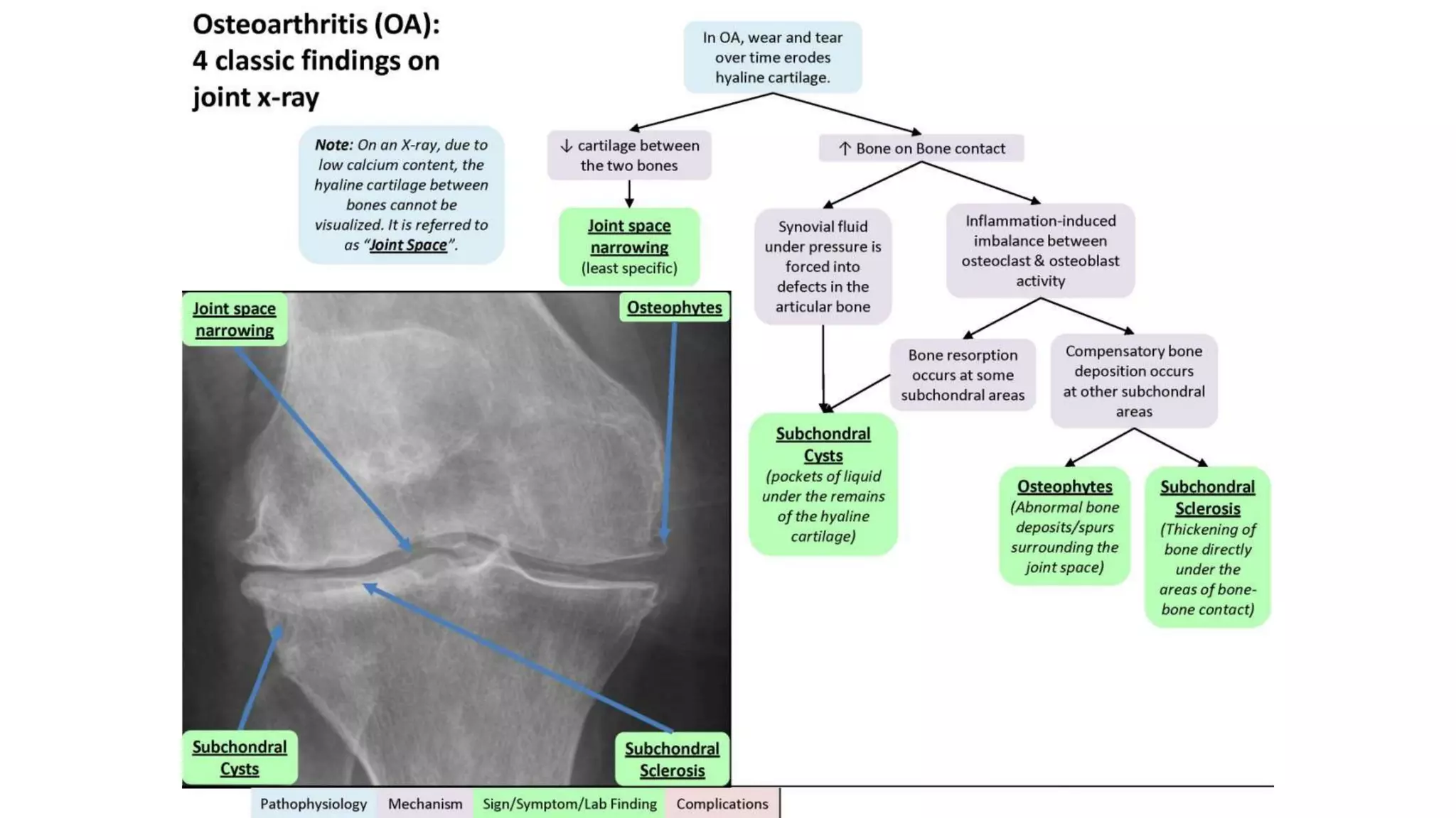Osteoarthritis | PPTX