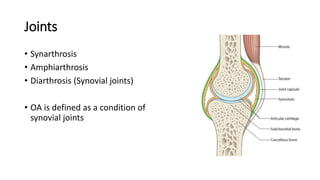 Osteoarthritis | PPTX