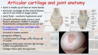 Osteoarthritis of joints and related treatment | PPTX