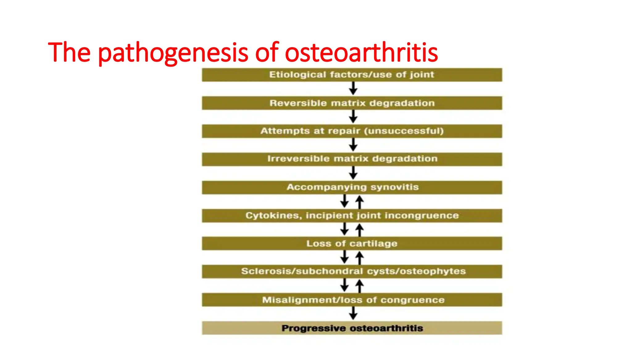 Musculoskeletal disorders: Osteoarthritis,.pptx