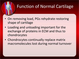 Osteoarthritis | PPT