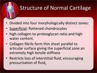 Osteoarthritis | PPT