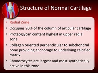 Osteoarthritis | PPT