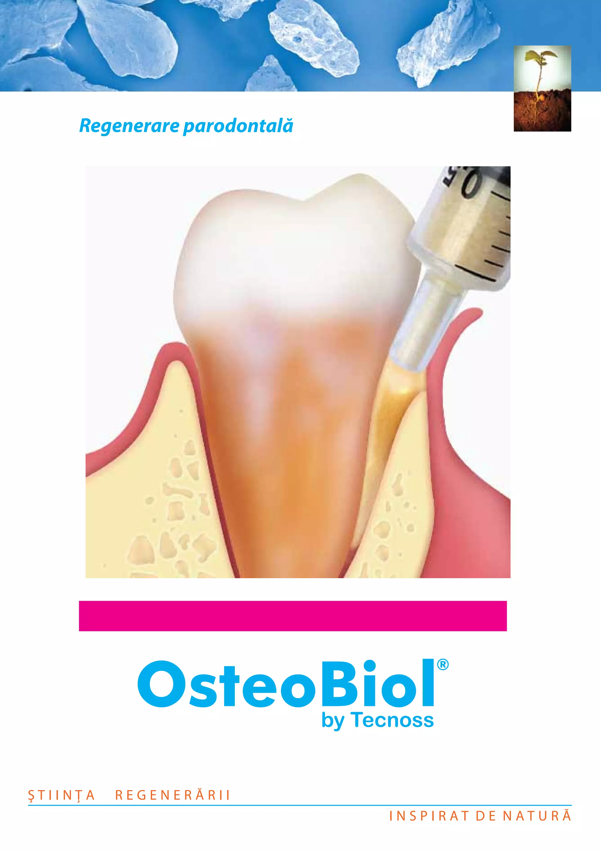 Rezumate stiintifice - Biomateriale OsteoBiol Tecnoss | PDF