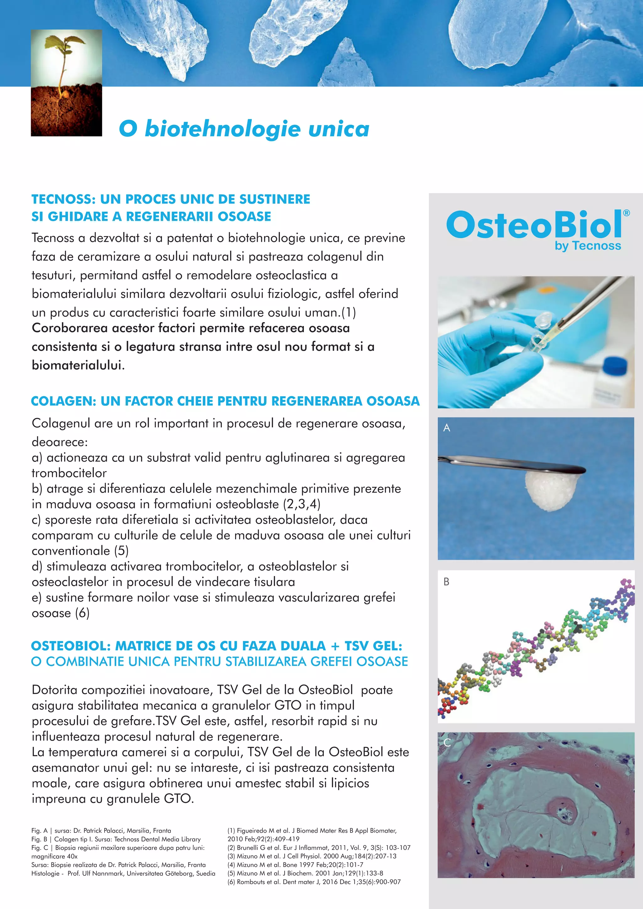 GTO de la Osteobiol | PDF