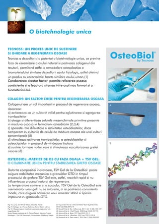 GTO de la Osteobiol | PDF