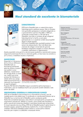 GTO de la Osteobiol | PDF