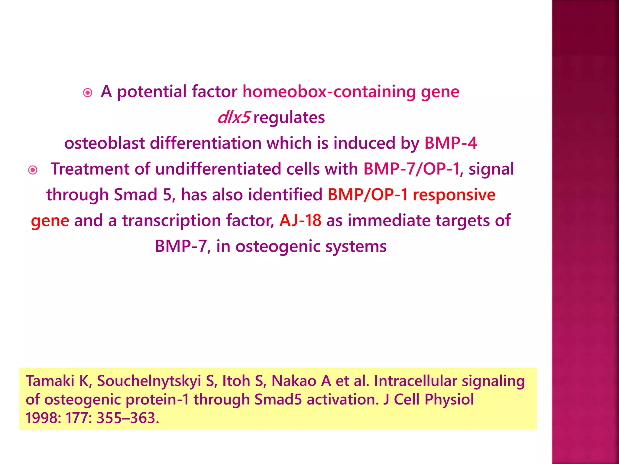 Osteoblast-Osteoclast activity | PPTX