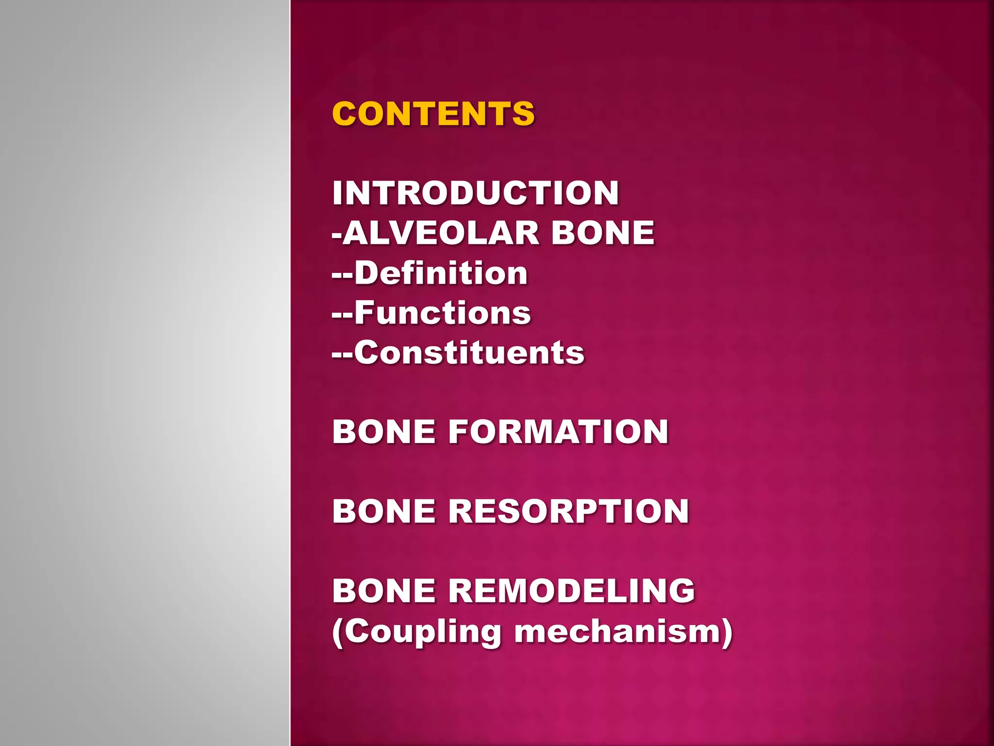 Osteoblast-Osteoclast activity | PPTX