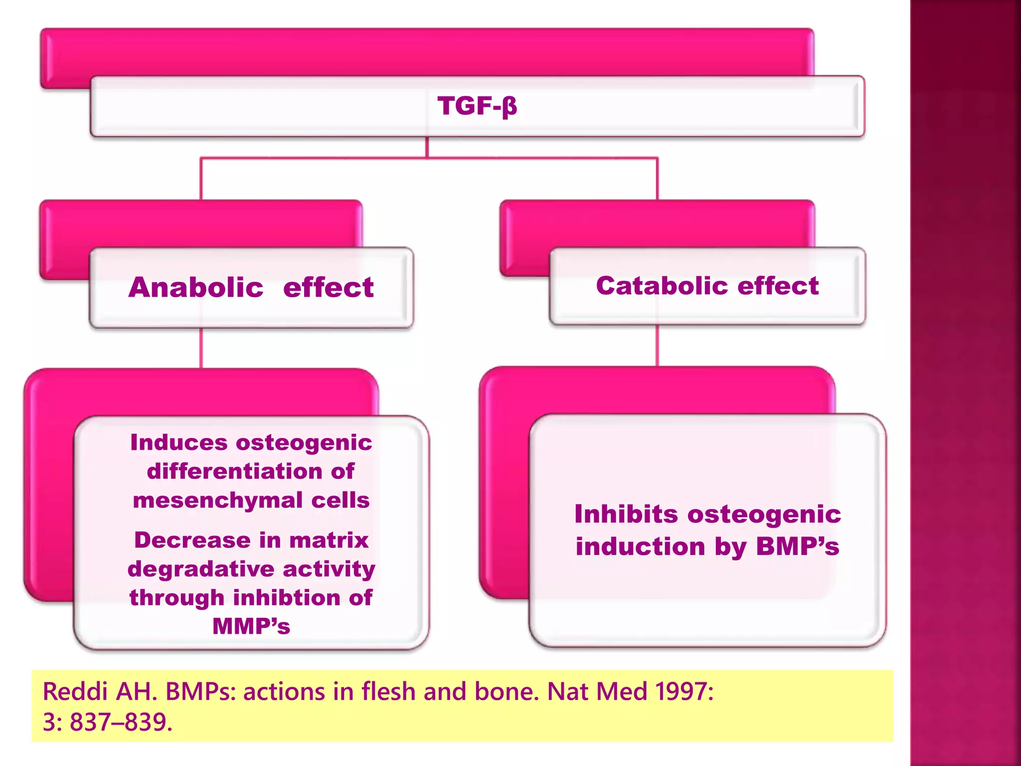 Osteoblast-Osteoclast activity | PPTX
