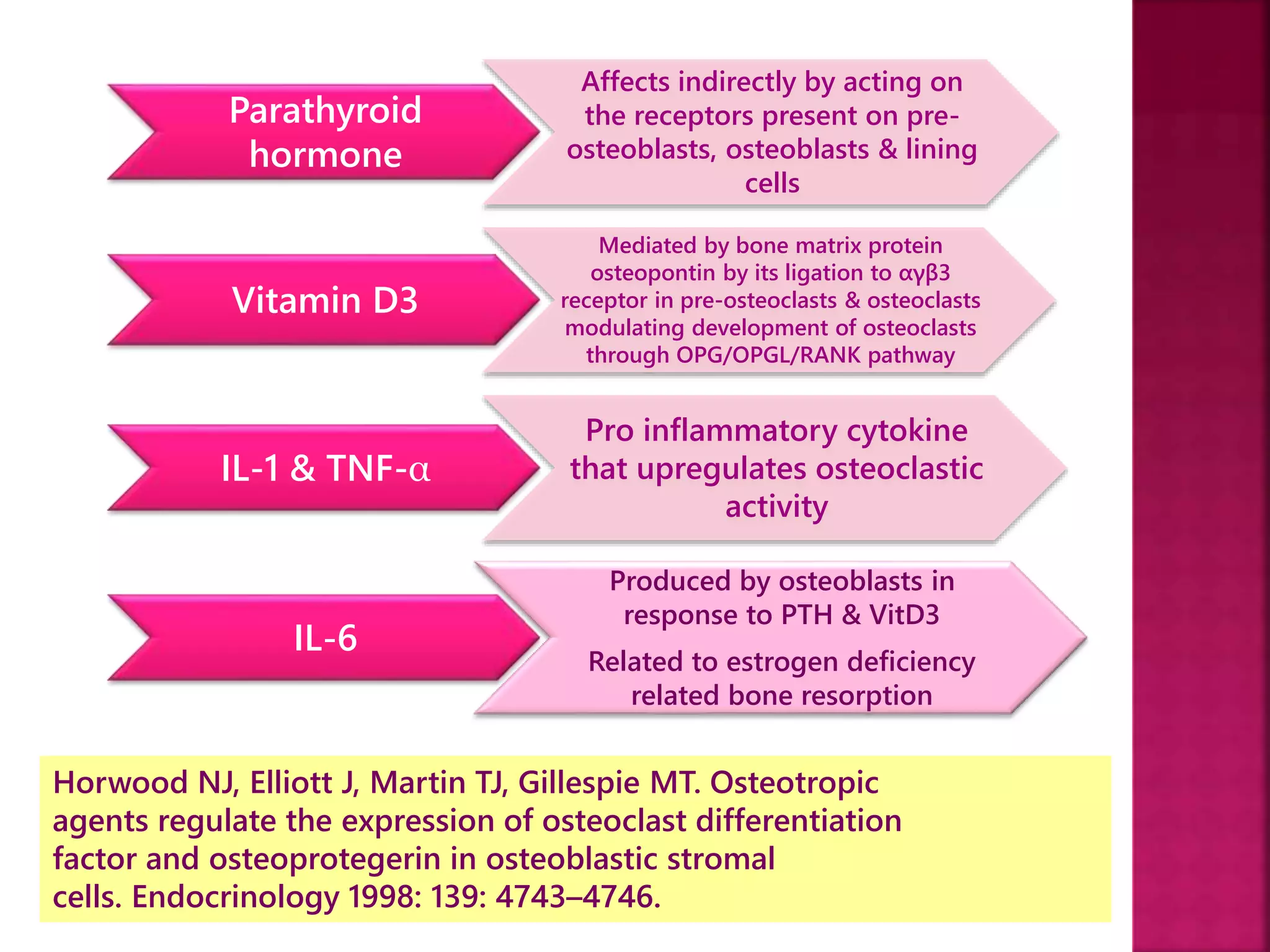 Osteoblast-Osteoclast activity | PPTX