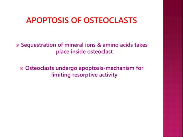 Osteoblast-Osteoclast activity | PPTX
