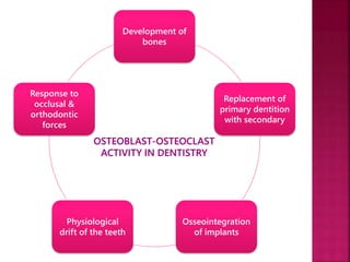 Osteoblast-Osteoclast activity | PPTX