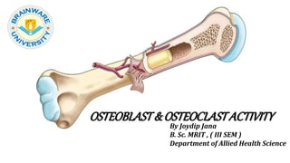 OSTEOBLASTIC & OSTEOCLASTIC ACTIVITY .pptx