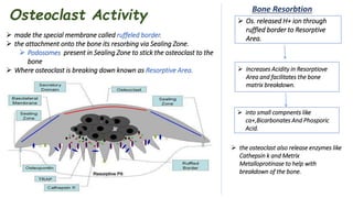 OSTEOBLASTIC & OSTEOCLASTIC ACTIVITY .pptx