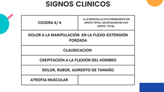 OSTEOCONDRITIS DISECANTE.pdf