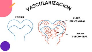 OSTEOCONDRITIS DISECANTE.pdf