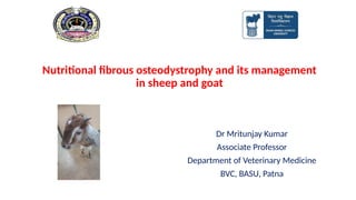 Osteodystrophy fibrosa in sheep and goat | PPTX