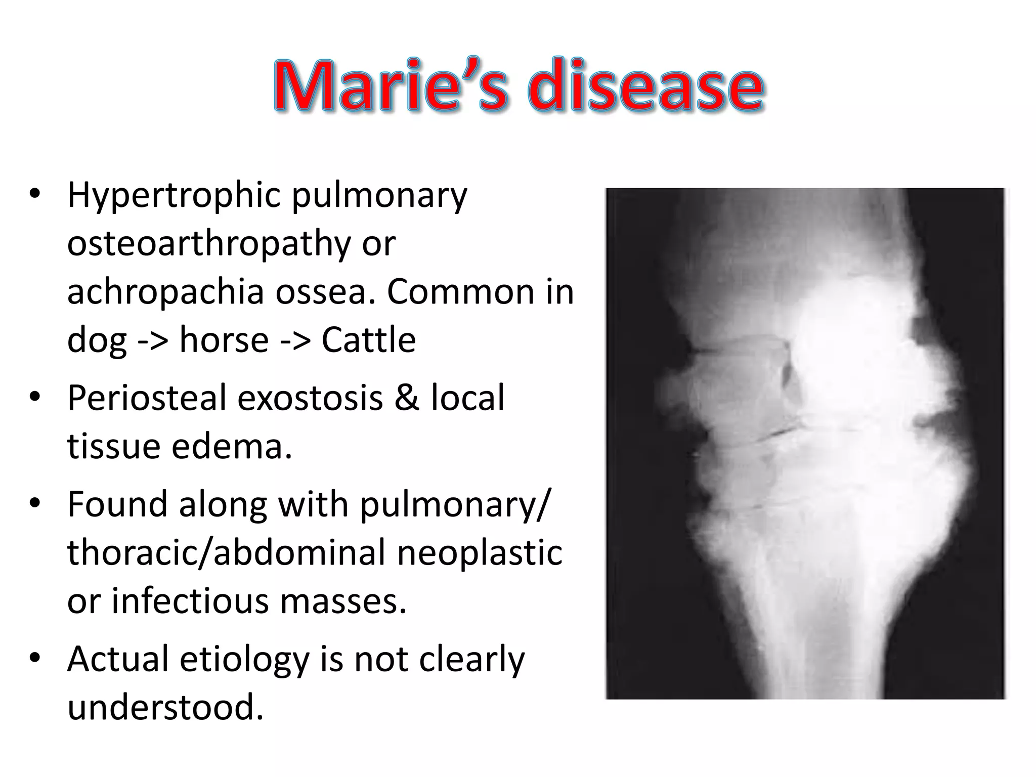 Osteodystrophy and osteomyelitis in domestic animals | PDF