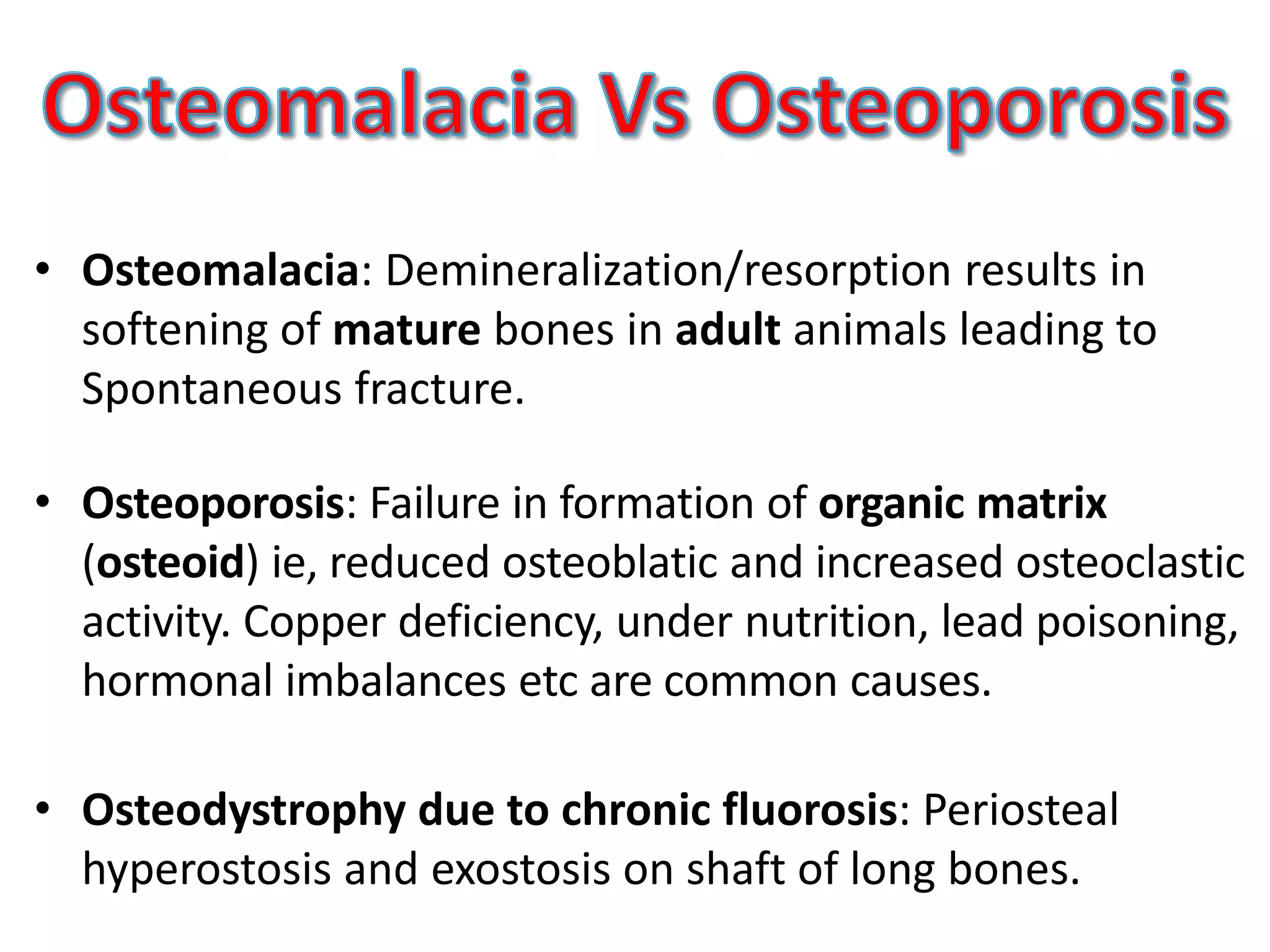 Osteodystrophy and osteomyelitis in domestic animals | PDF
