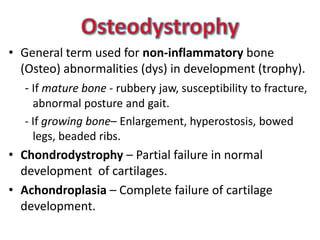 Osteodystrophy and osteomyelitis in domestic animals | PDF | Bone and ...