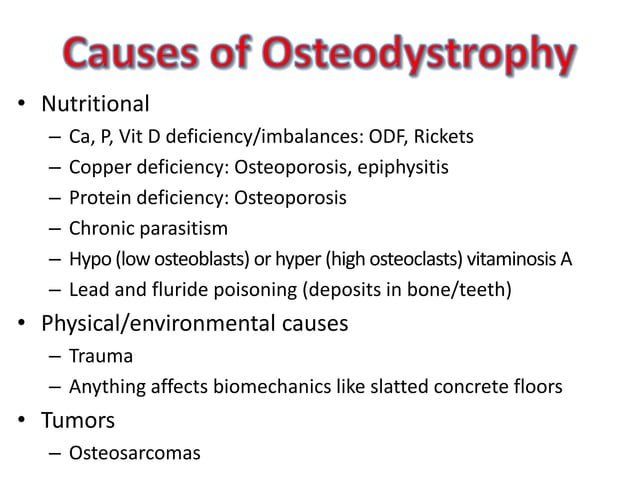 Osteodystrophy and osteomyelitis in domestic animals | PDF | Bone and ...
