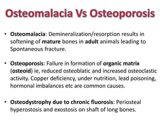 Osteodystrophy and osteomyelitis in domestic animals | PDF | Bone and ...