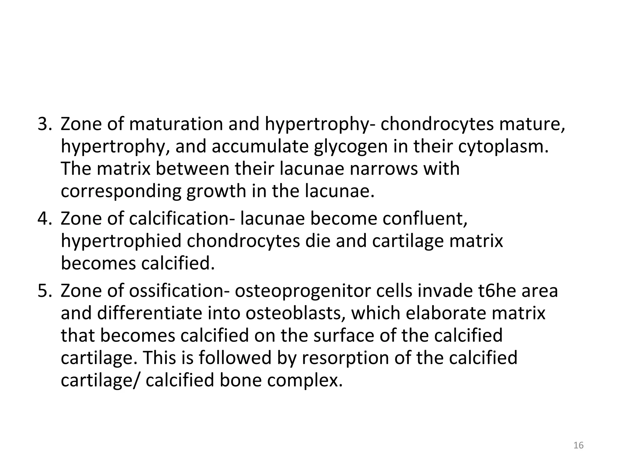 Osteogenesis | PPT