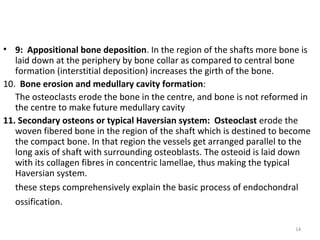 Osteogenesis | PPT