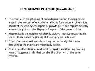 Osteogenesis | PPT