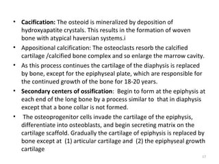 Osteogenesis | PPT