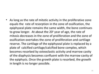 Osteogenesis | PPT