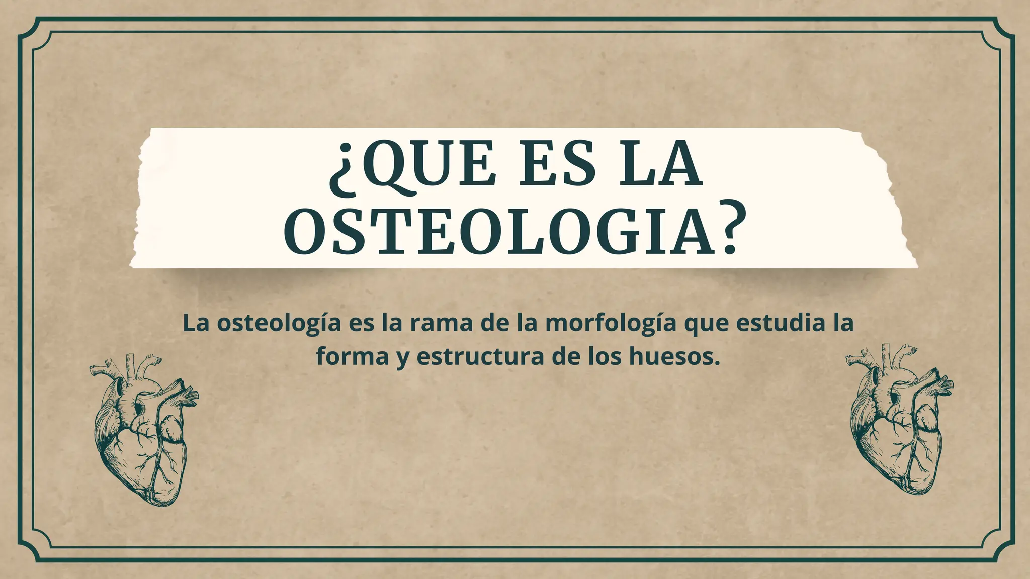 Osteología, ¿qué es y para que sirve? y la clasificacion de los huesos ...