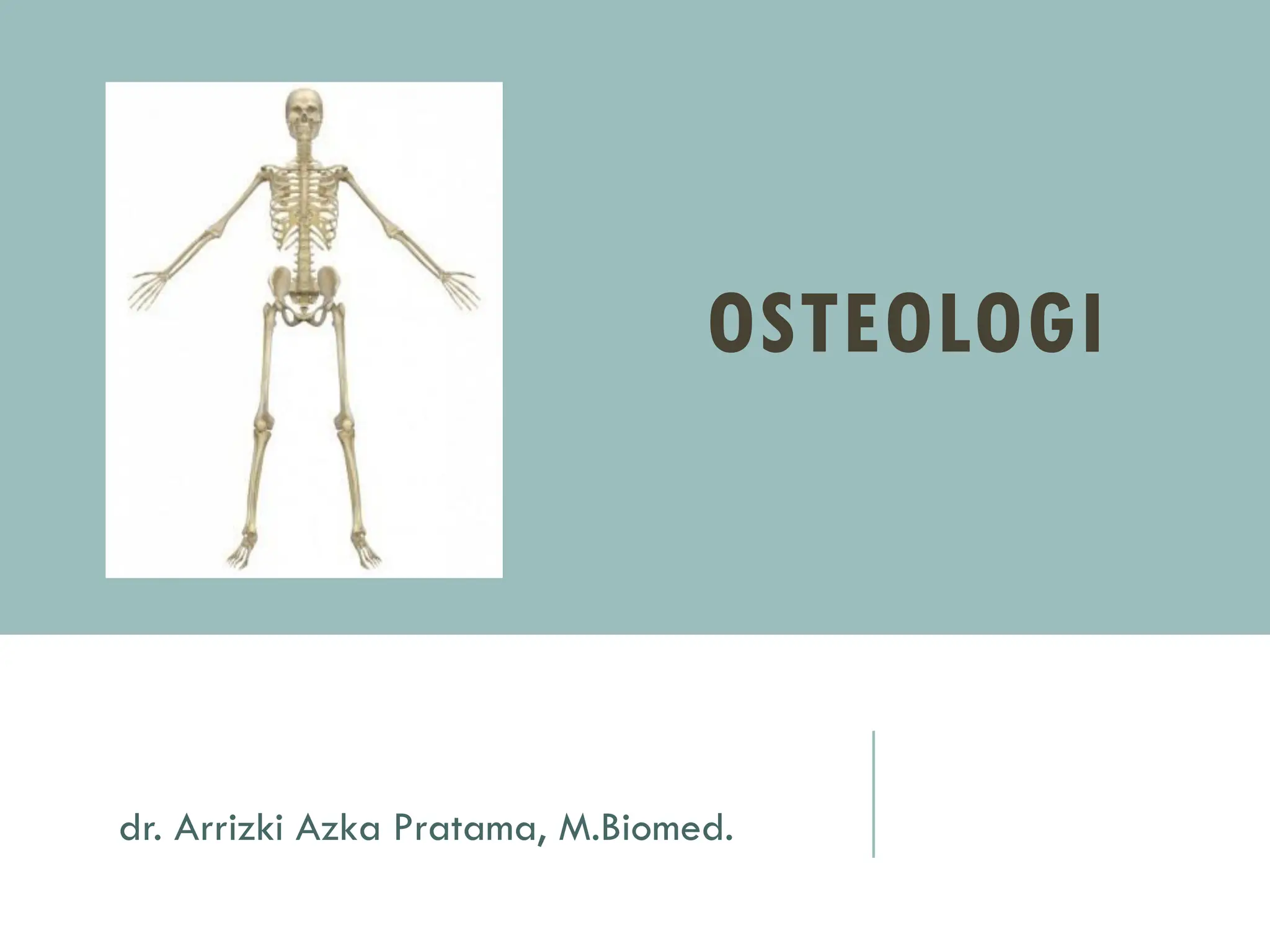 anatomi dan fisiologi : OSTEOLOGI pada manusia | PDF