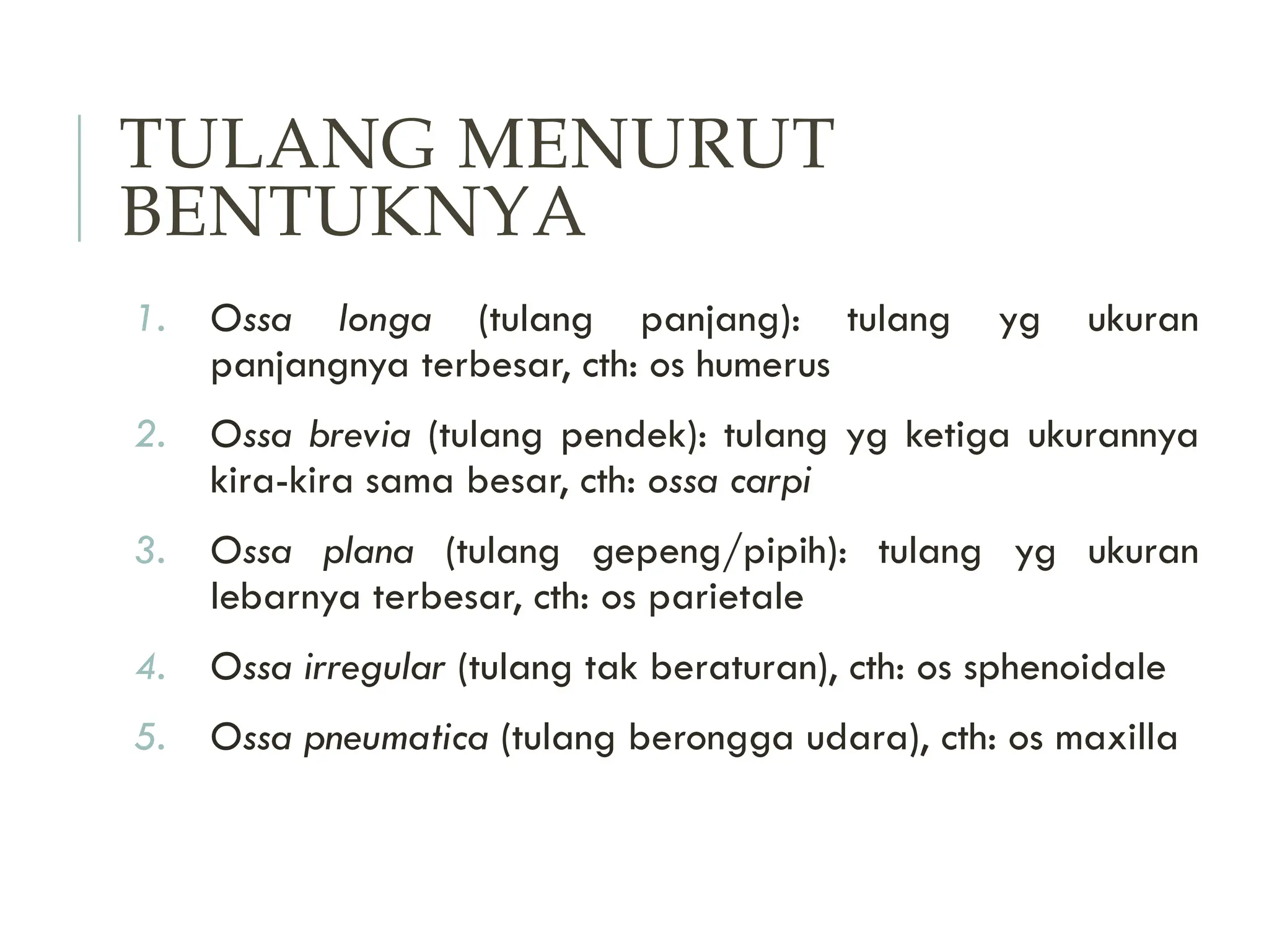 anatomi dan fisiologi : OSTEOLOGI pada manusia | PDF