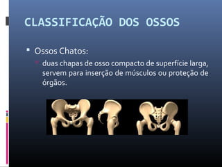 Osteologia | PPT