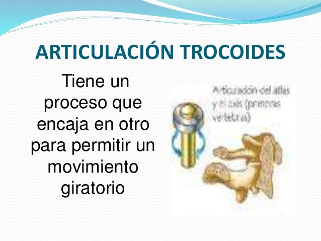 Osteología la atracción