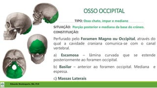 Osteologia do Neurocrâneo - Anatomia 1 - 2025.pdf